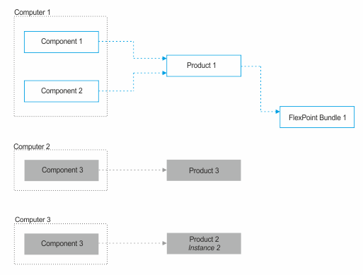 Assigning products to FlexPoint bundles