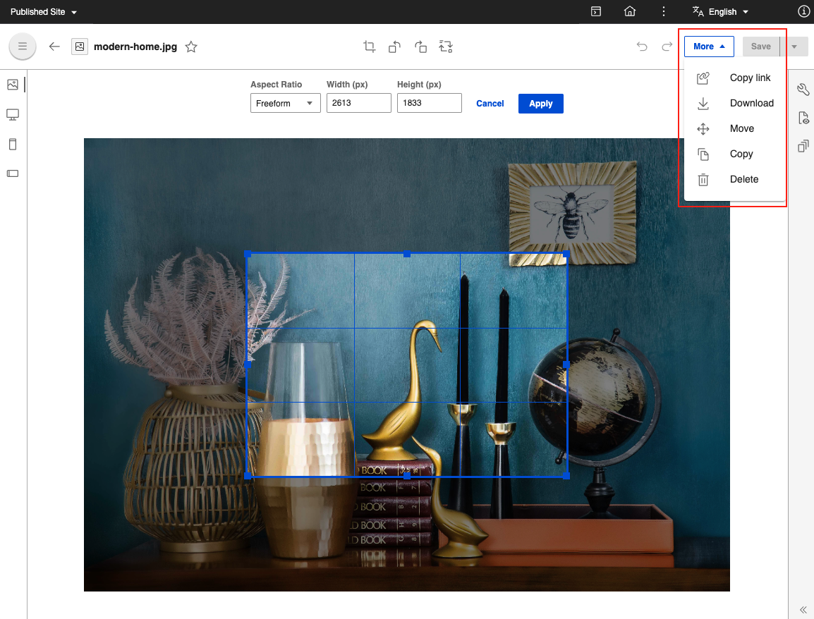 Editing an image - HCL Digital Experience Help Center